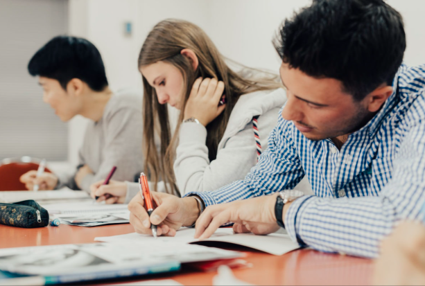 Visa Counselling - MascotsB